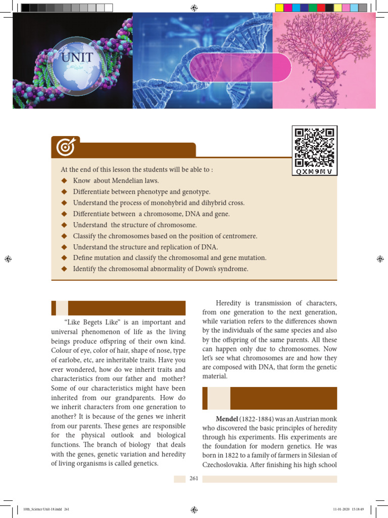 Evolution Genetics | PDF | Dna Replication | Dna