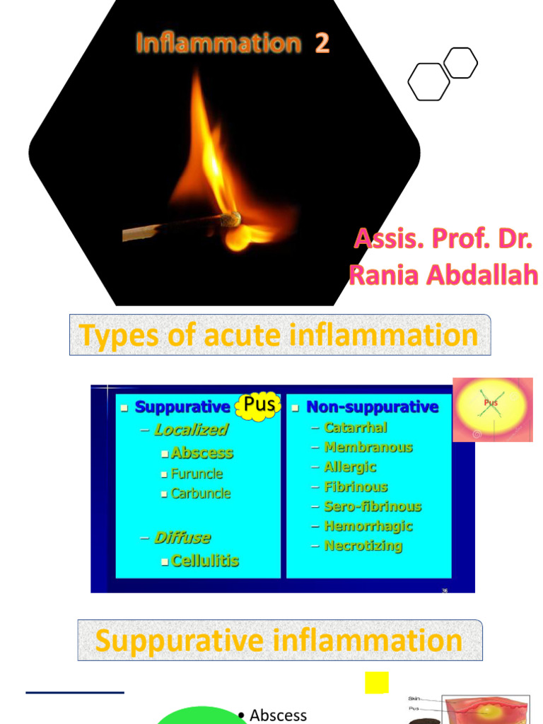 Types of Acute Inflammation Explained | PDF | Inflammation | Necrosis