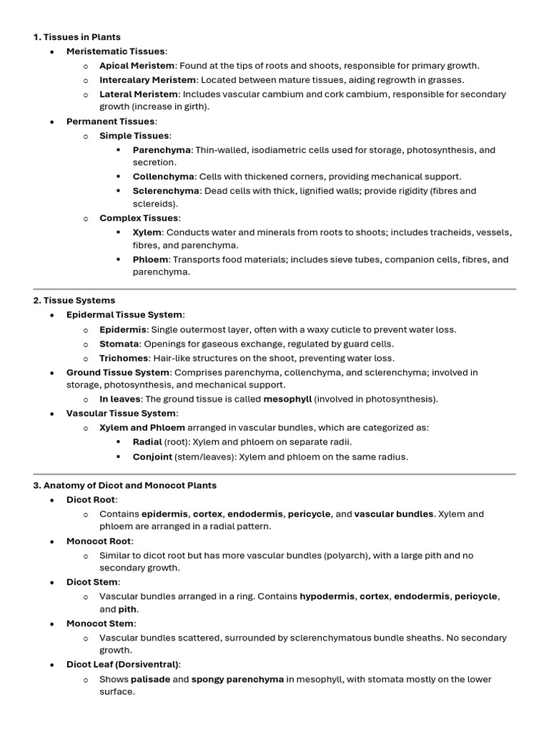 Plant Tissue Types and Anatomy Guide | PDF | Tissue (Biology) | Plant Stem