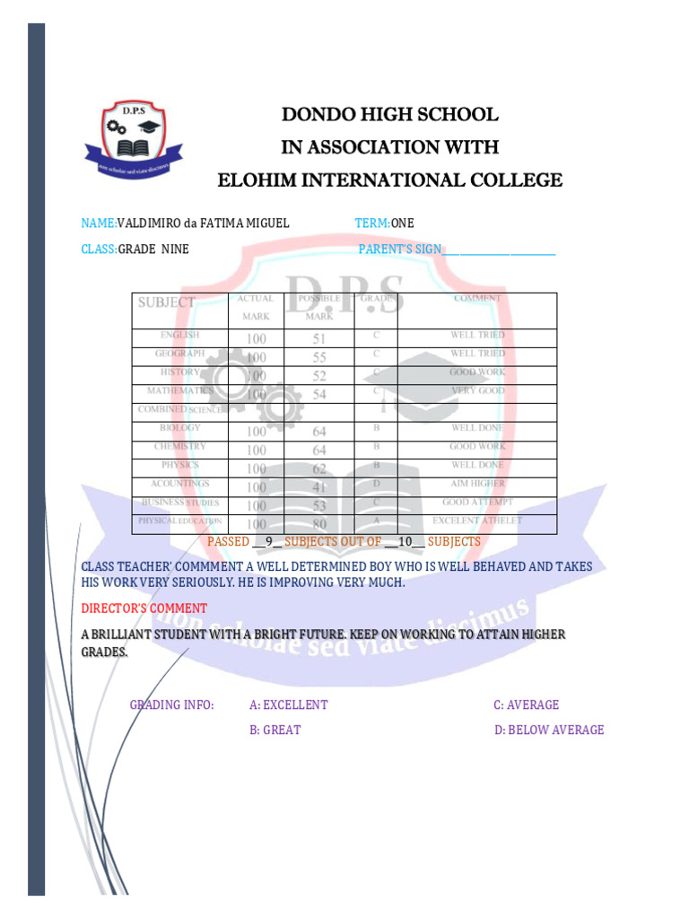Grade Nine Report Card Summary | PDF