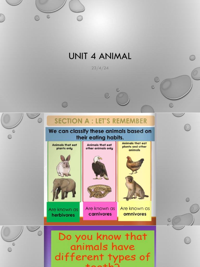 Unit 4 Animal | PDF