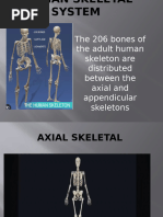 Complete List of 206 Human Bones | PDF | Vertebra | Toe
