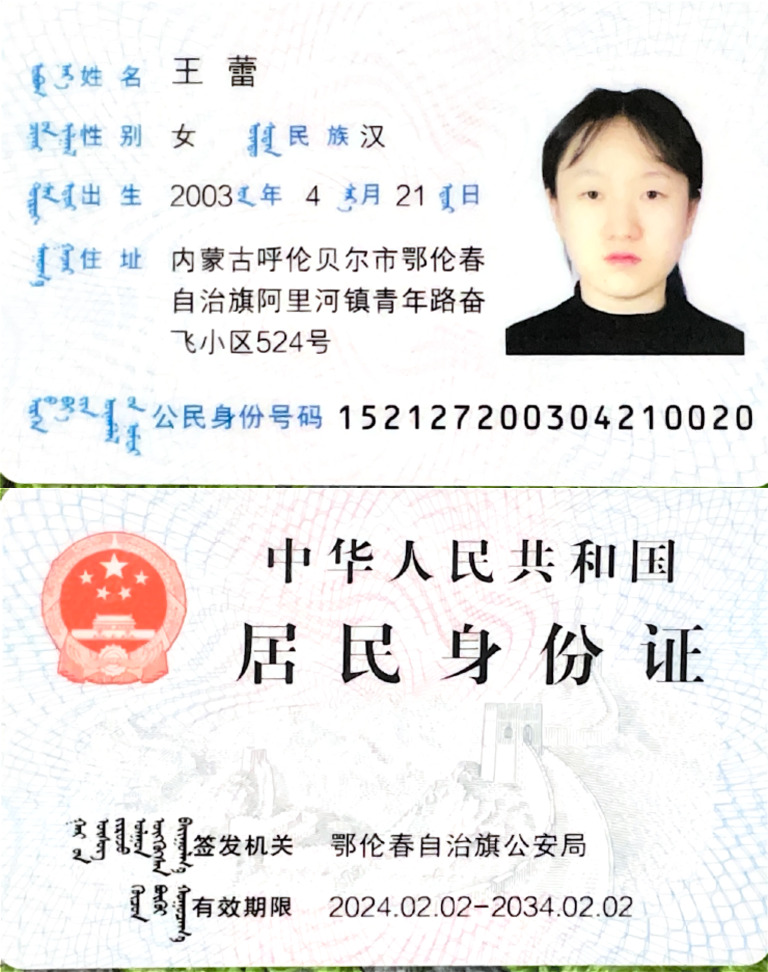 ID Card of China Lei Wang | PDF