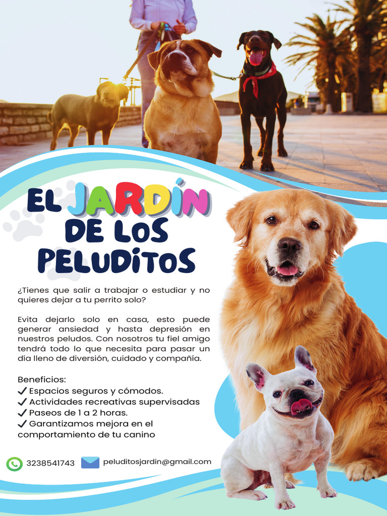 Cuida a tu perro mientras trabajas | PDF