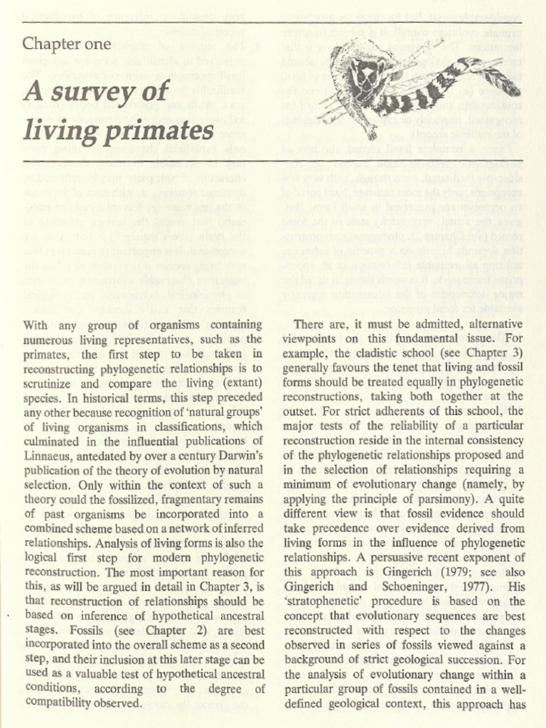 A Survery of Living Primates | PDF | Phylogenetics | Fossil