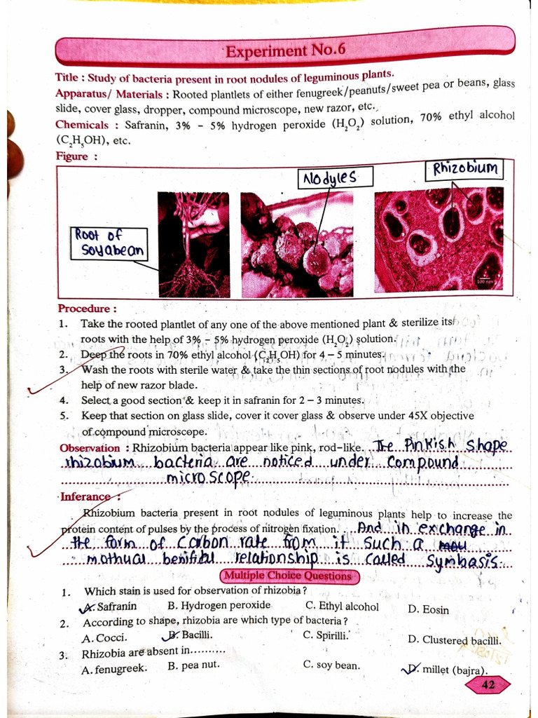 Science 2 Practical Book 9th | PDF