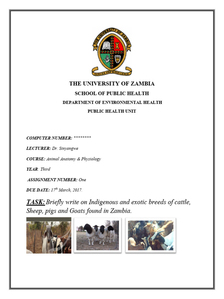 Animal Breeds Assignment | PDF | Sheep | Wool