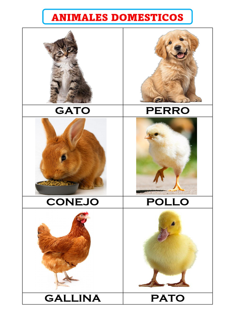 Animales Domesticos | PDF