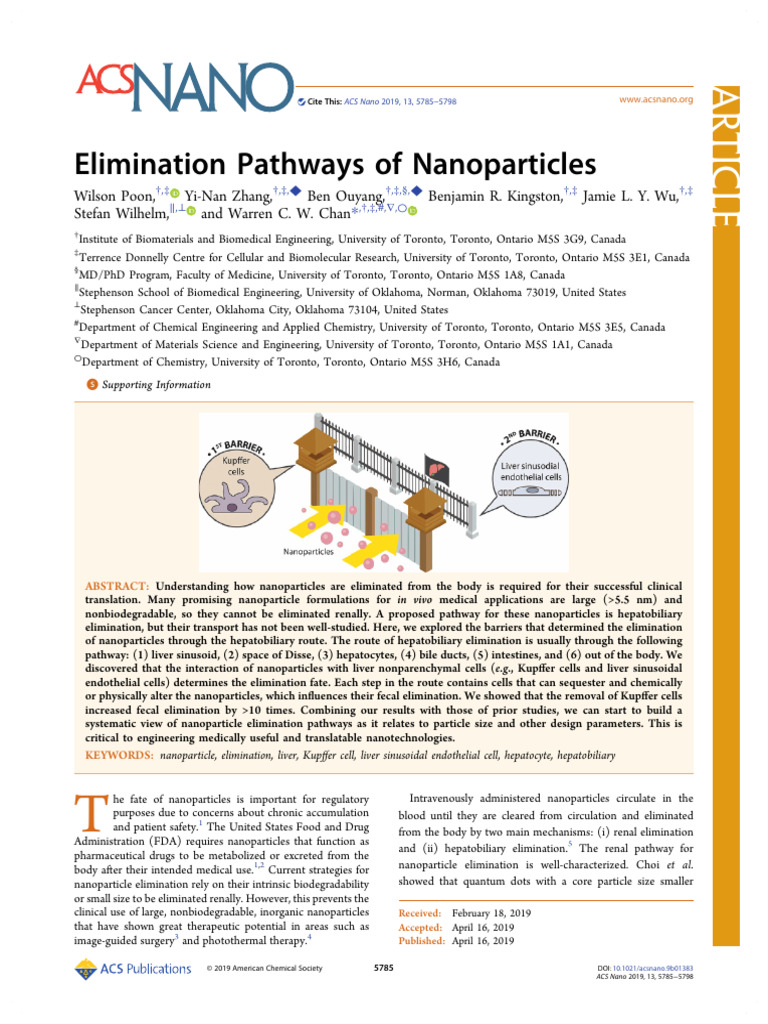 Poon Et Al 2019 Elimination Pathways of Nanoparticles | PDF ...