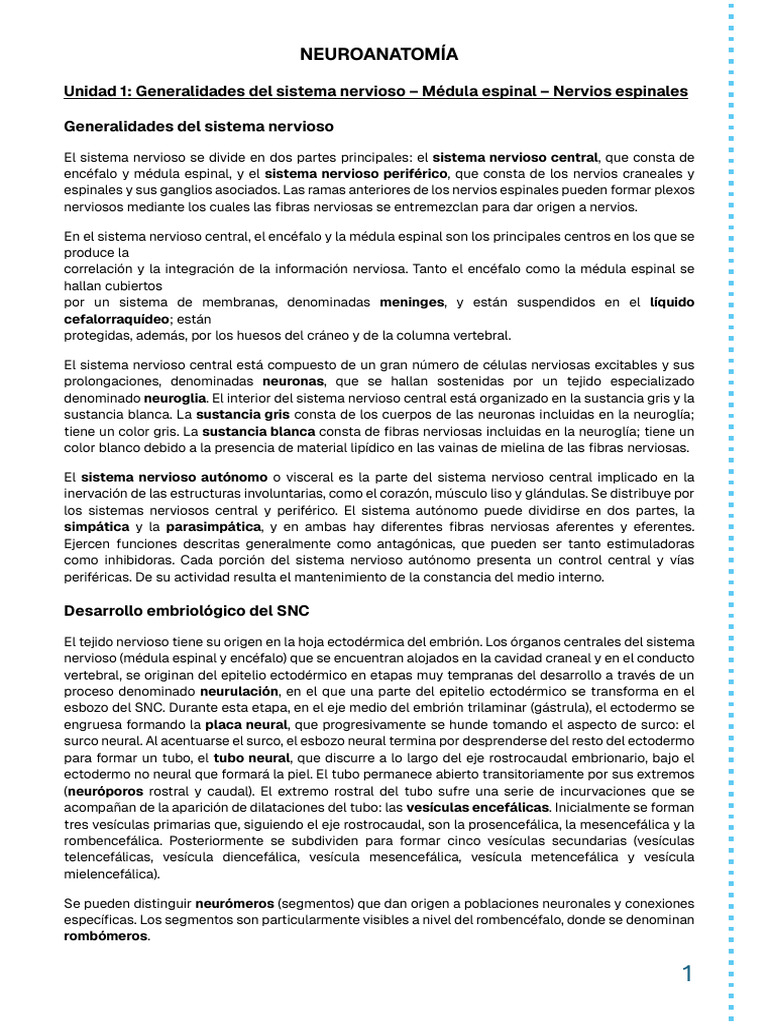 Generalidades Del Sistema Nervioso, Médula Espinal, Nervios Espinales ...