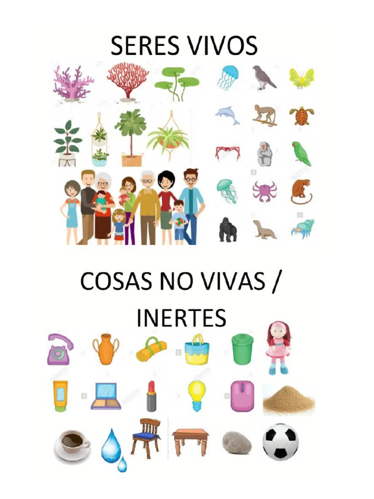 Seres Vivos y No Vivos | PDF