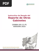 Instructivo SINBA-SIS 2025: Llenado Formato | PDF | Cuidado de la salud