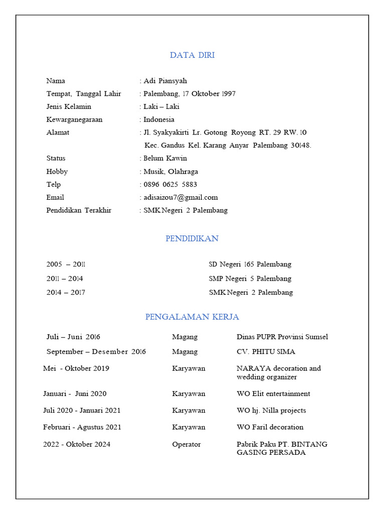 CV Adi Piansyah Fix | PDF