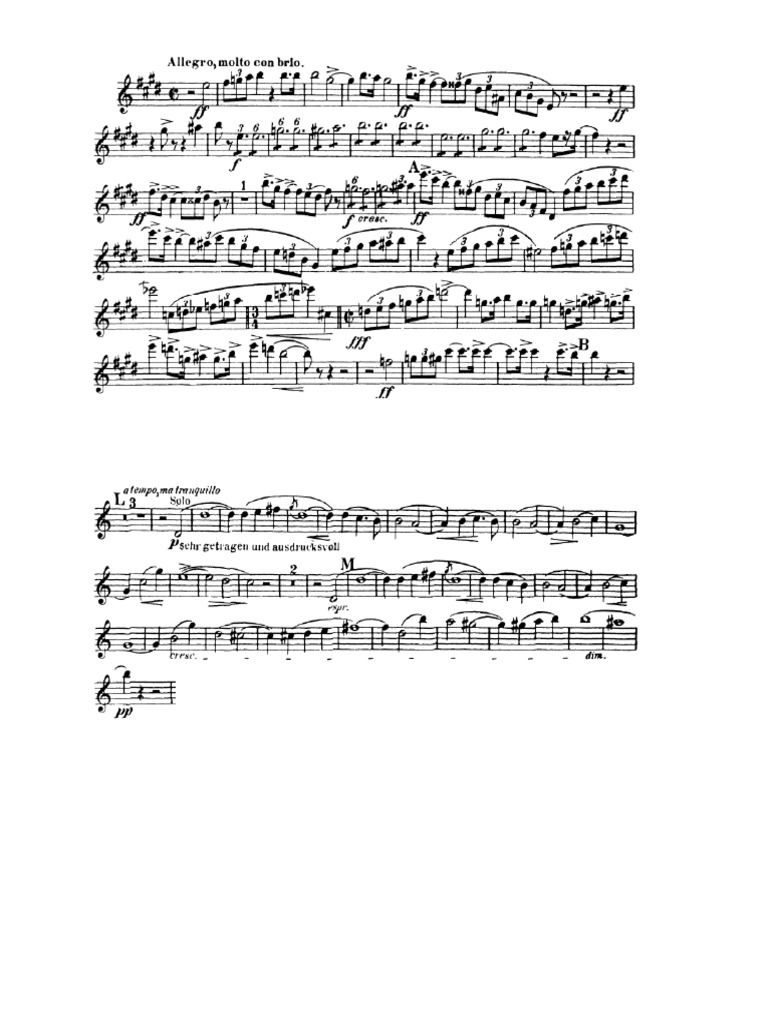 Oboe Strauss Don Juan | PDF