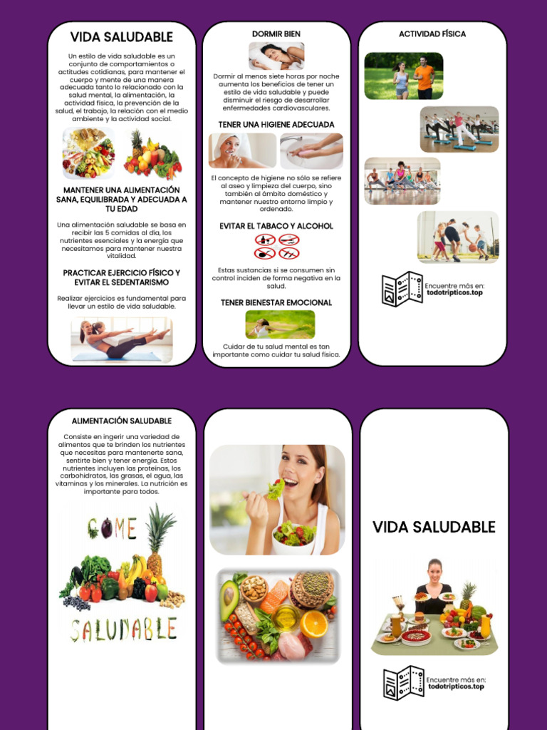Triptico de La Vida Saludable 5 | PDF