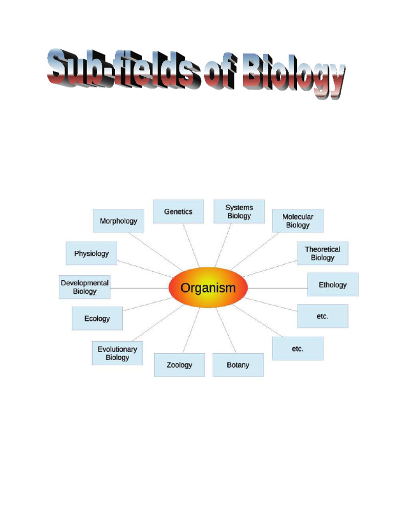 Overview of Biology Subfields | PDF | Zoology | Biology