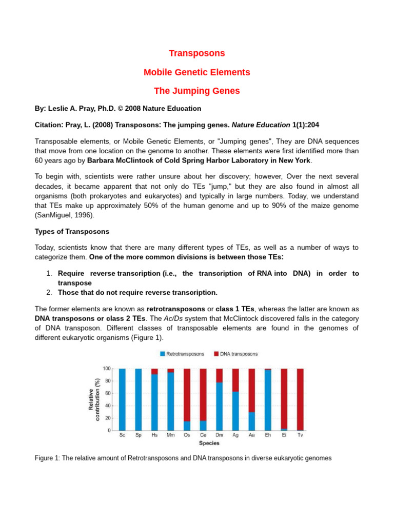Transposable Elements - The Jumping Gene. | PDF | Transposable Element ...
