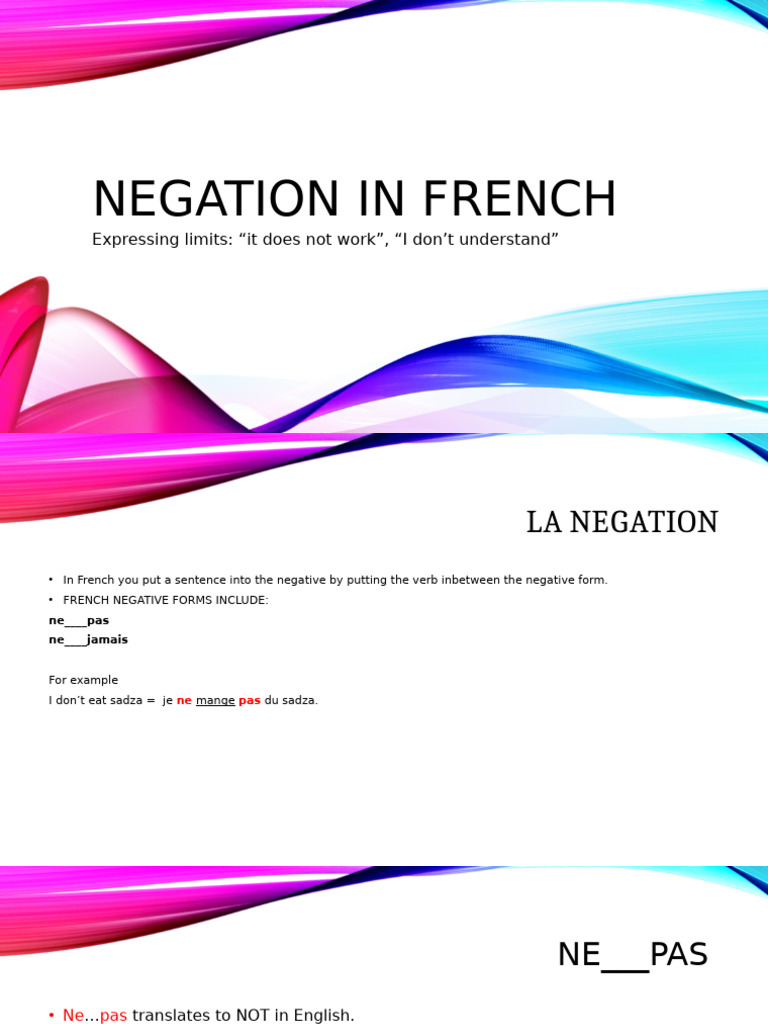 Negation in French Group 8 Presentation | PDF