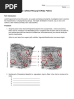 Fingerprint Ridge Characteristics Explained | PDF | Fingerprint ...