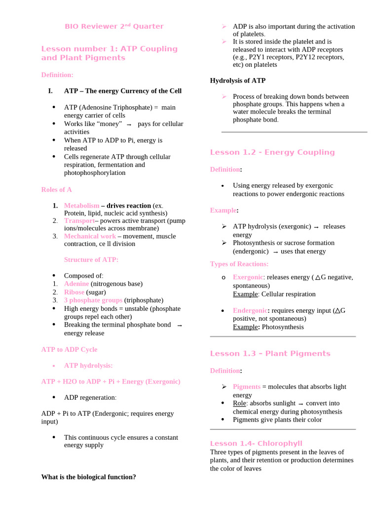 ATP and Plant Pigments Overview | PDF | Photosynthesis | Carotenoid