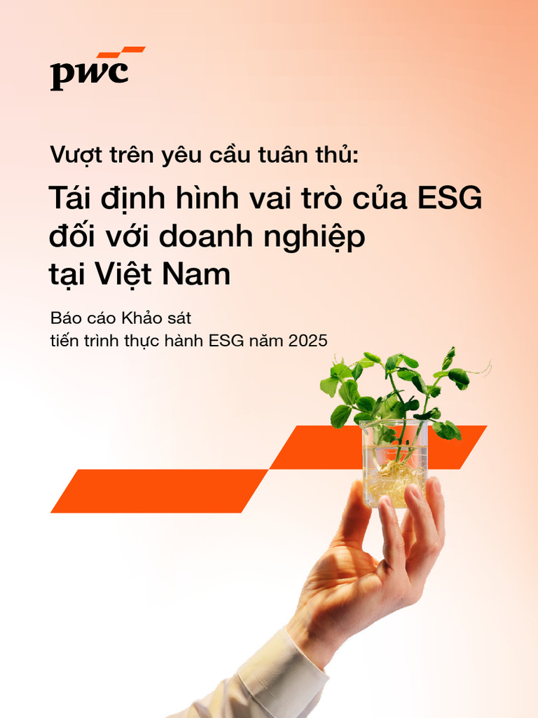 Esg Progress Tracker 2025 | PDF