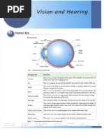 Chapter B4 Wave Particle Duality | PDF
