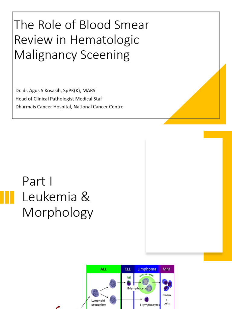 The Role of Blood Smear Review in Hematologic Malignancy 160823 - Fin ...