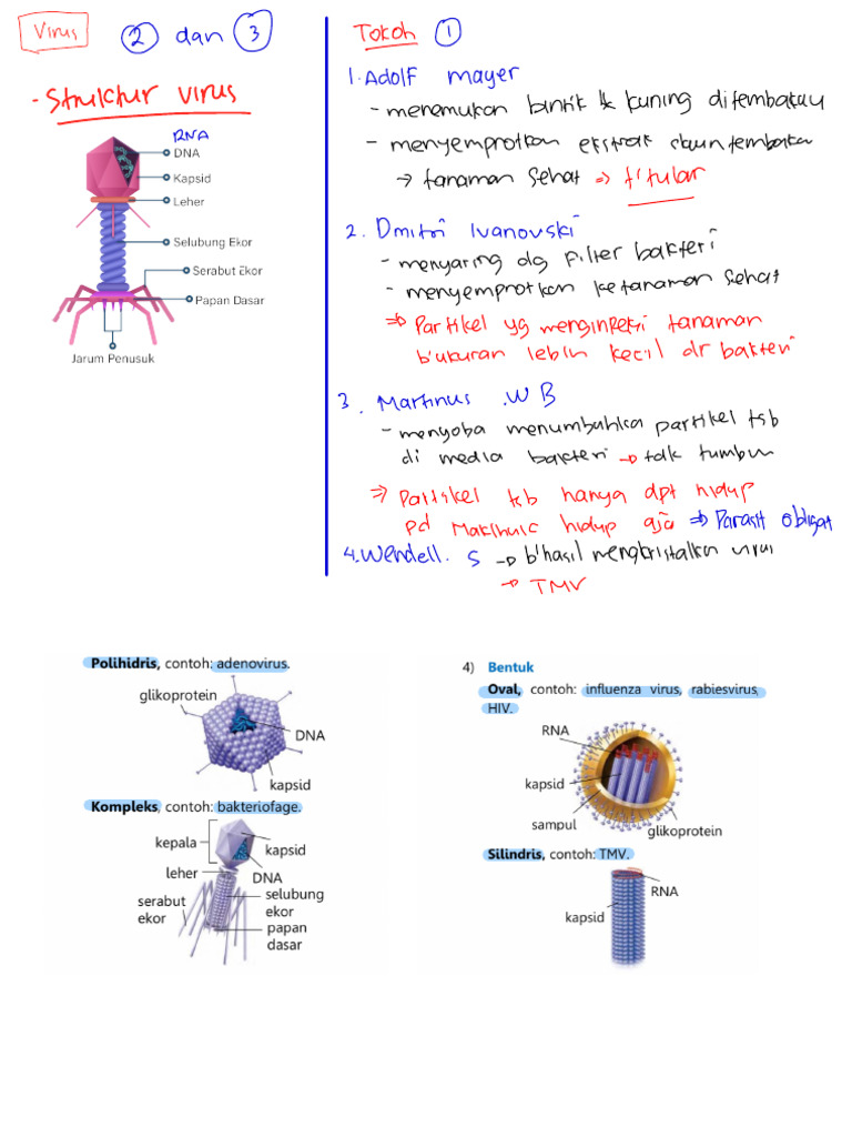 Virus | PDF | Virus | Virology