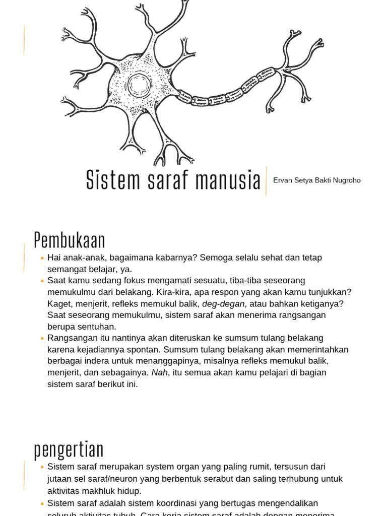 Memahami Sistem Saraf Manusia | PDF