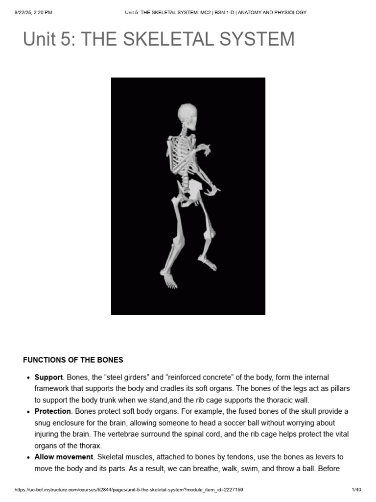 Unit 5 - The Skeletal System - Mc2 - BSN 1-d - Anatomy and Physiology ...