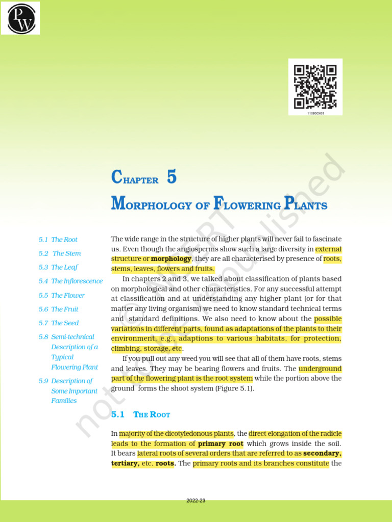 Morphology of Flowering Plants Annotated NCERT | PDF
