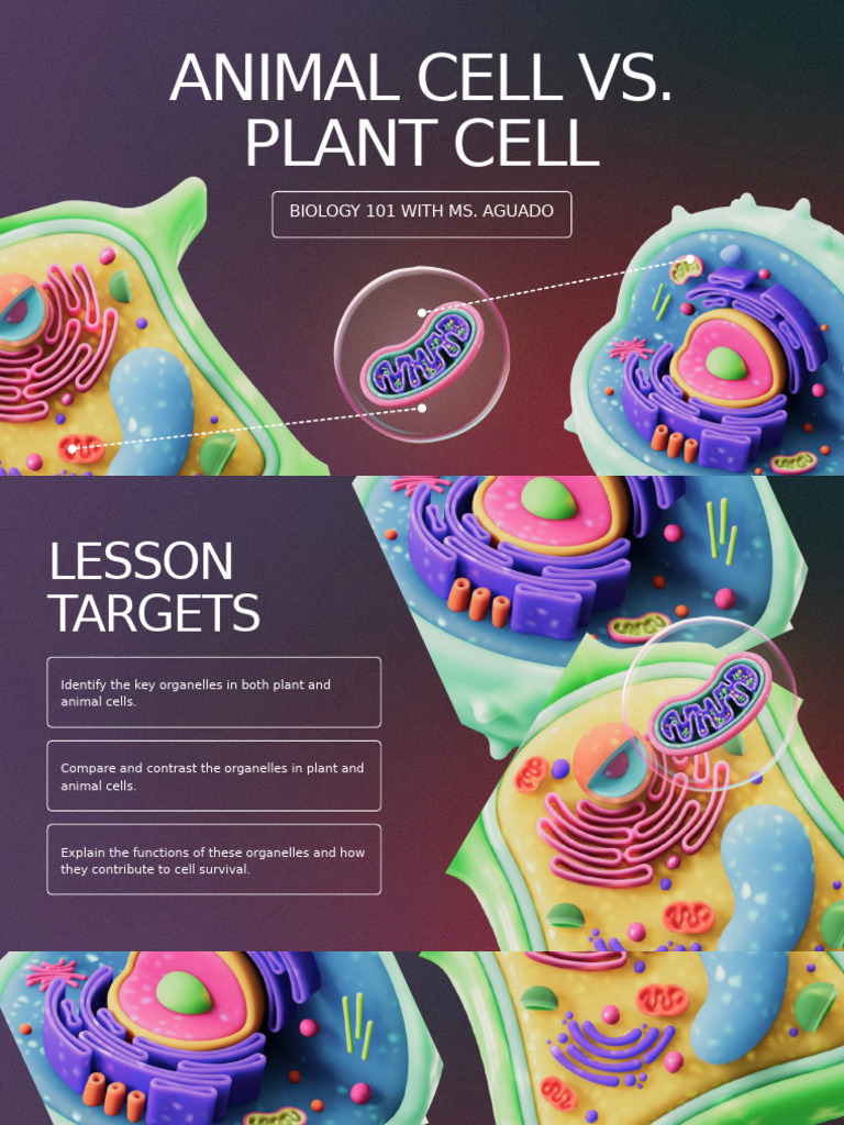 Animal Cell vs. Plant Cell NGSS Educational Presentation in Red and ...