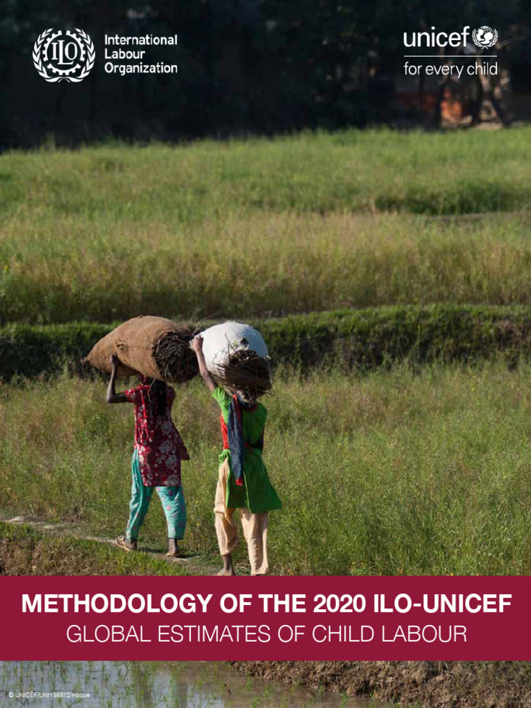 Child Labour Methodology Report | PDF | Child Labour | International ...