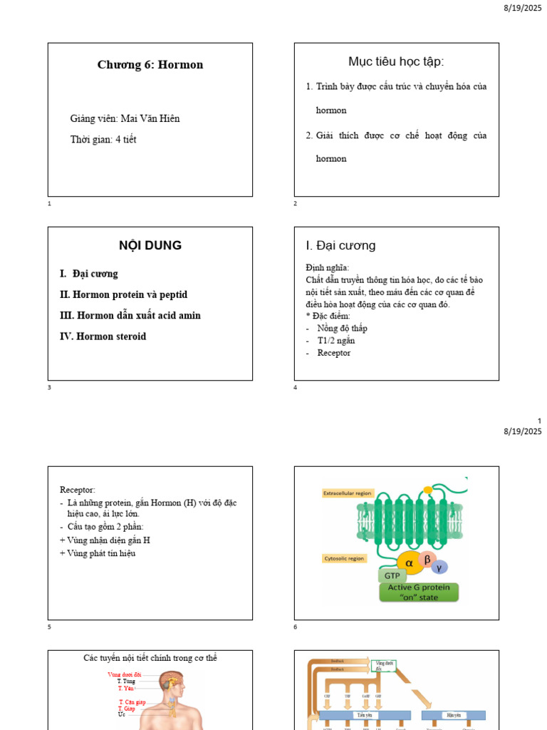 Hormon K78 | PDF