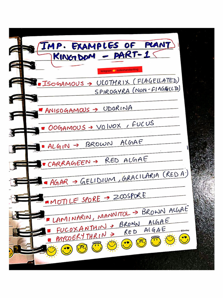 Important Examples of Plant Kingdom - @ExambatNEET | PDF