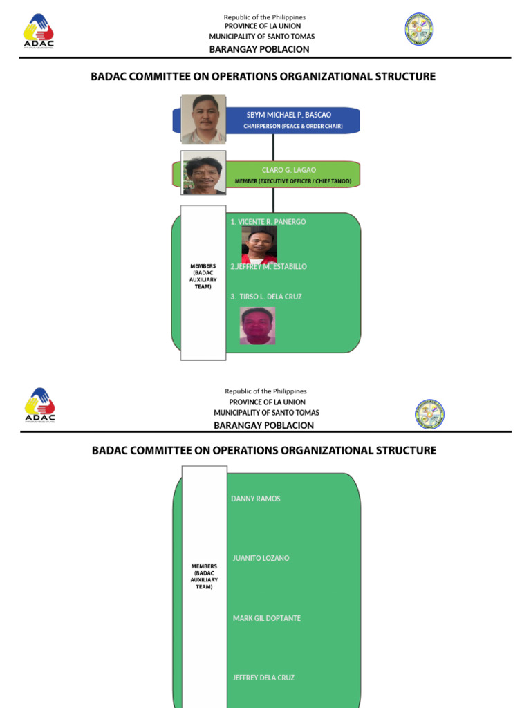 BADAC TEMPLATE - Committee On Operations Organizational Structure | PDF