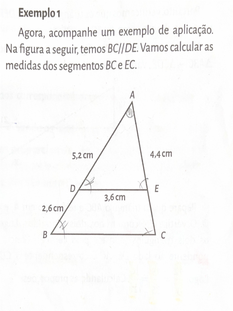 Exemplo Da Revisão | PDF