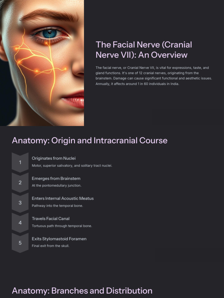 Overview of the Facial Nerve | PDF | Human Head And Neck | Nervous System