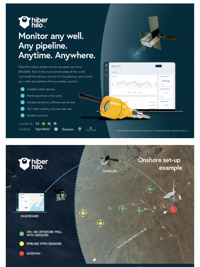 HiberHilo Flyer 2024 | PDF