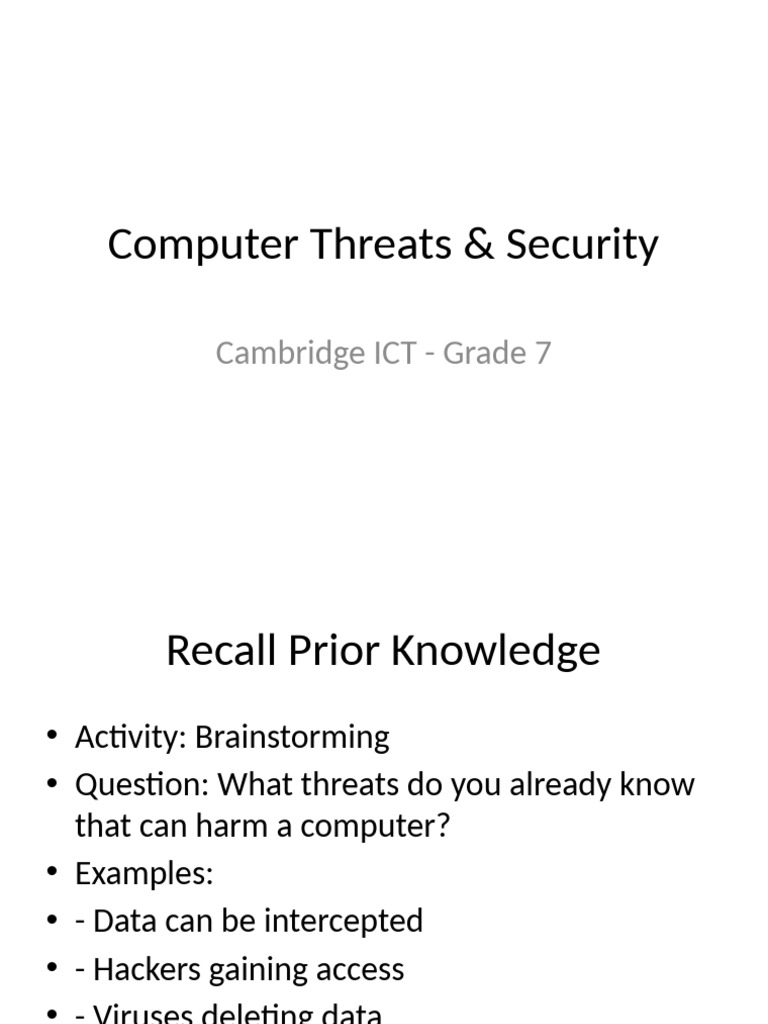 Computer Threats and Security Grade7 | PDF