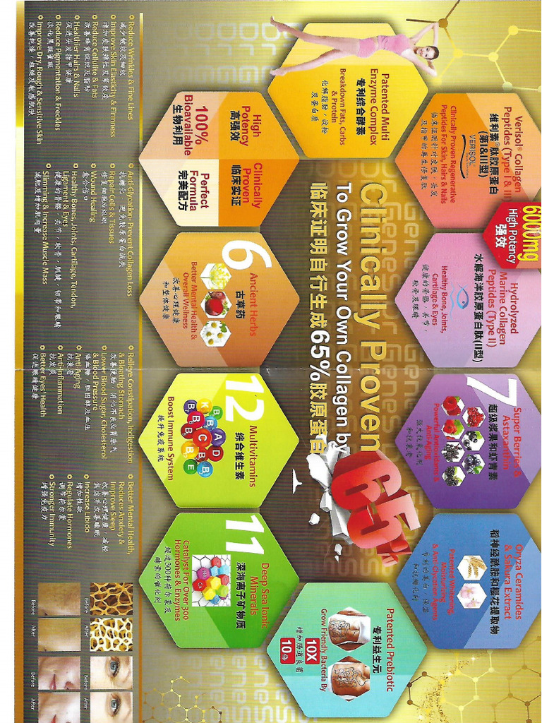 DR Genes Brochure | PDF