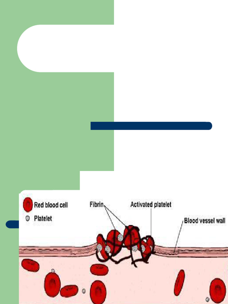 05-Section 3 Part 2 Anticoagulants | PDF | Blood Plasma ...