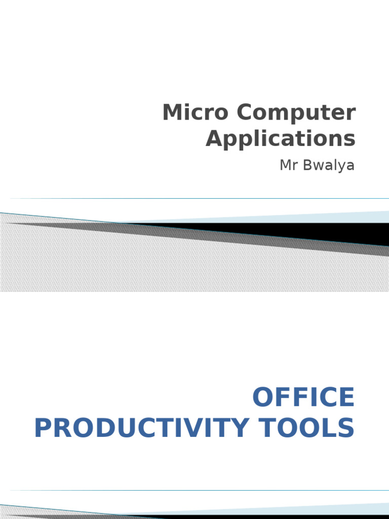 Micro Computer Applications | PDF | Spreadsheet | Microsoft Excel
