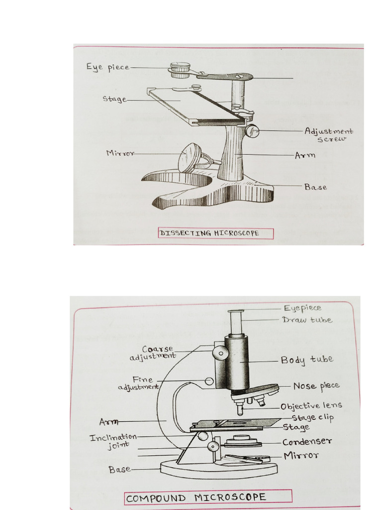 Parts of Microscopes | PDF