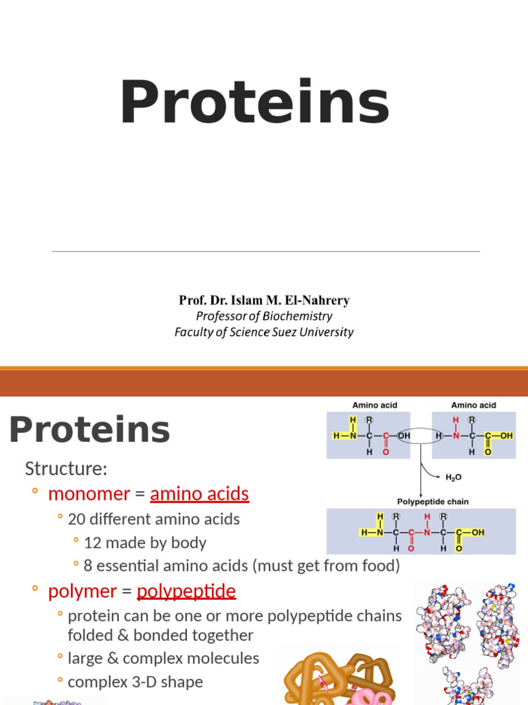 Amino Acids & Proteins 2025 (Islam) | PDF | Protein Structure | Proteins