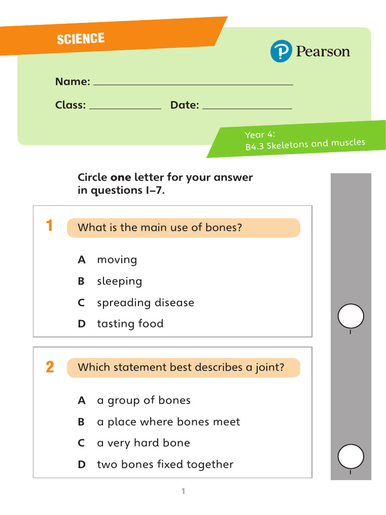 Test 1 Skeletons and Muscles | PDF | Heart | Bone