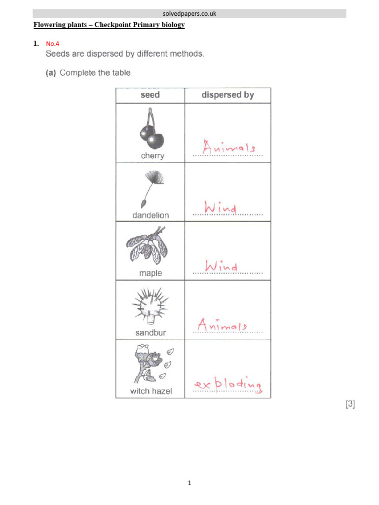 Sample Flowering Plants Checkpoint Primary Biology | PDF