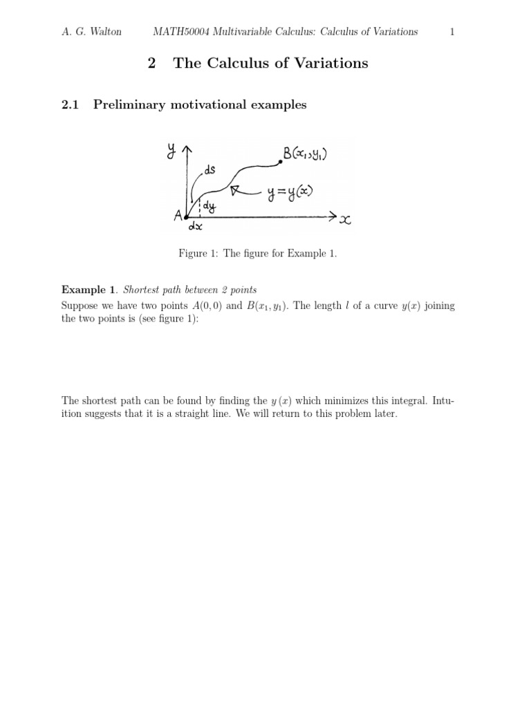 Multi Cal Sec 2 | PDF | Euler–Lagrange Equation | Calculus Of Variations