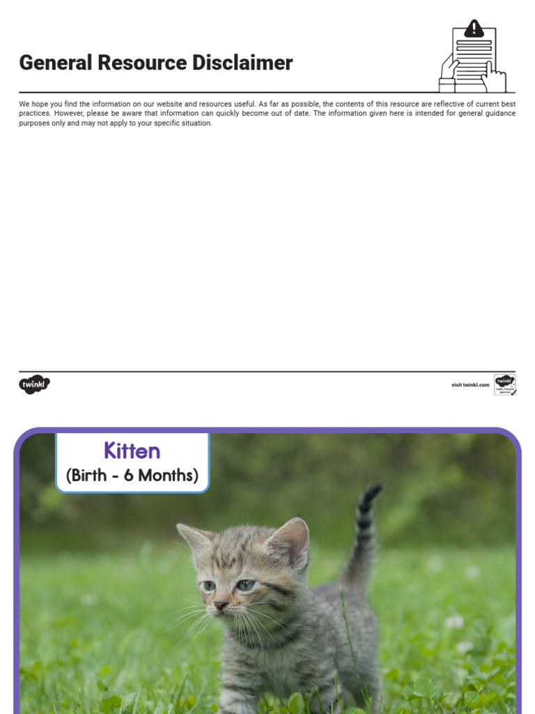 General Resource Disclaimer for Users | PDF