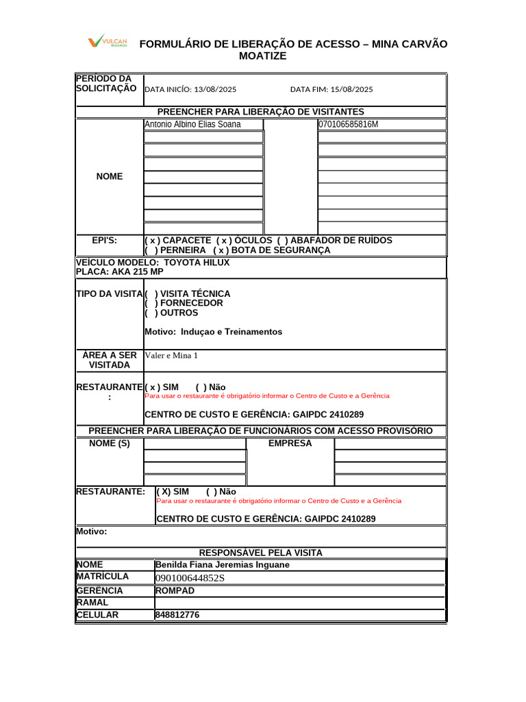 Formulário de Acesso Mina Carvão Moatize | PDF